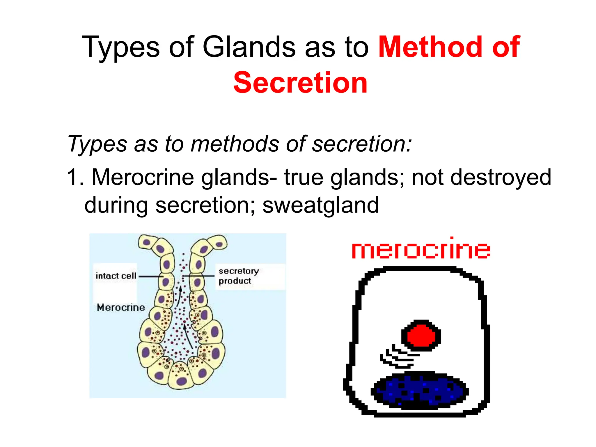 Comparative anatomy of Integumentary System | PPT