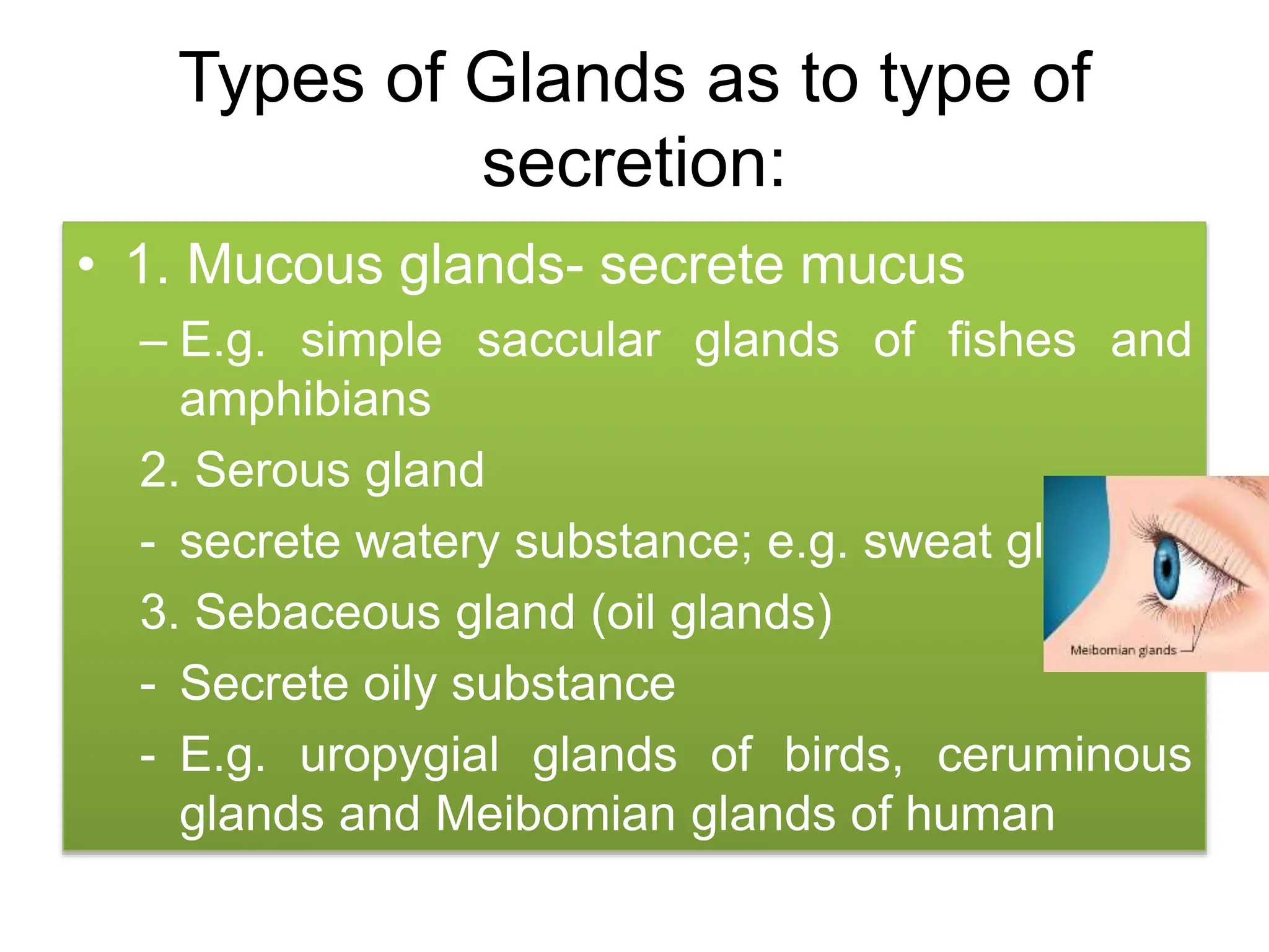 Comparative anatomy of Integumentary System | PPT