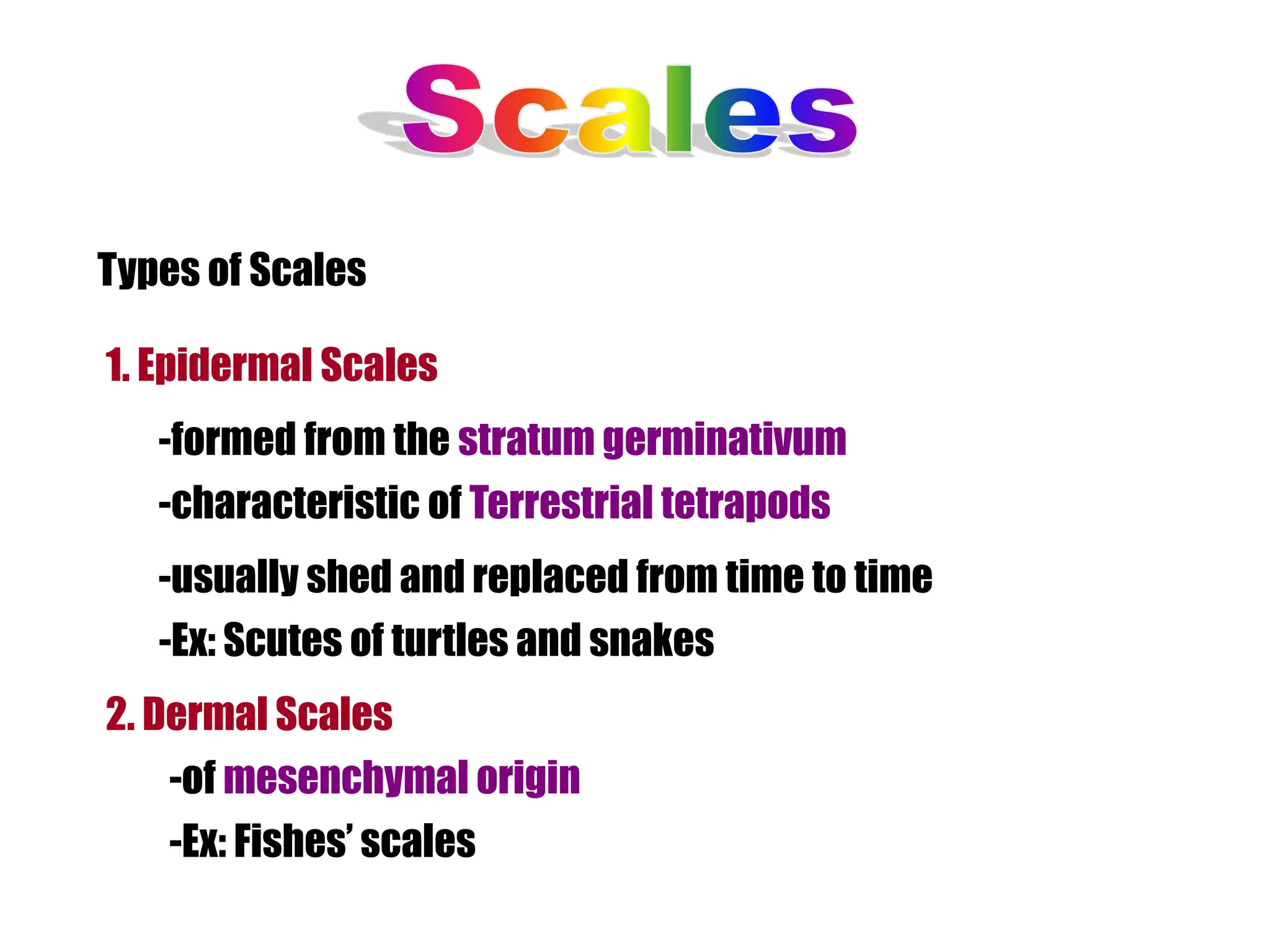 Comparative anatomy of Integumentary System | PPT