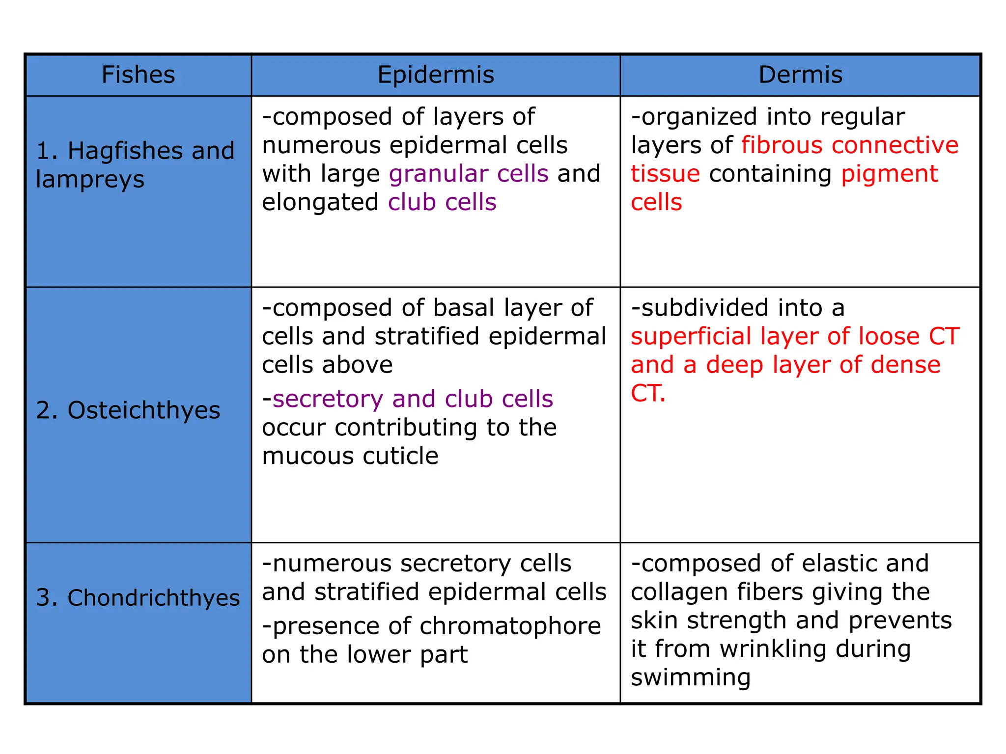 Comparative anatomy of Integumentary System | PPT