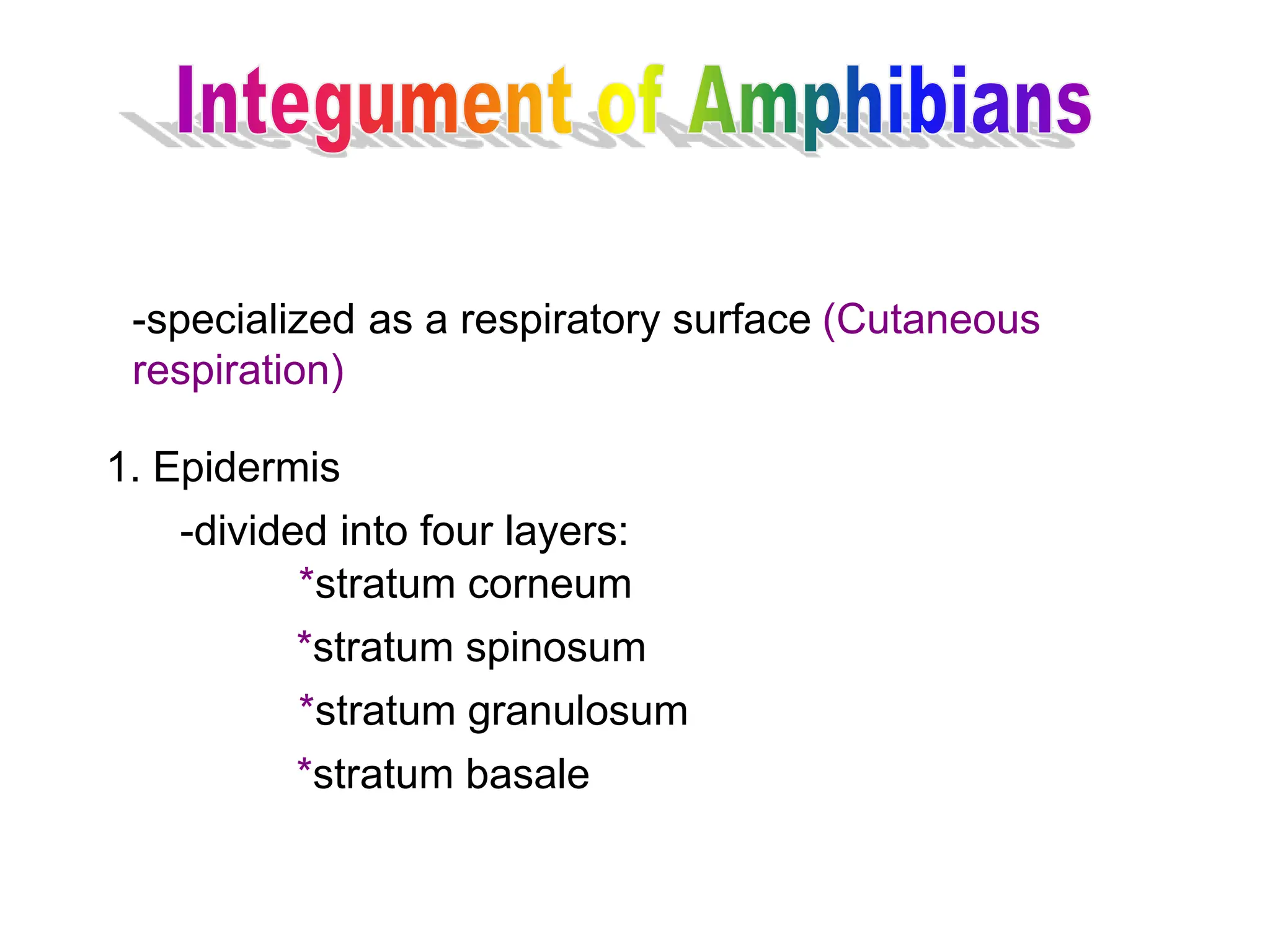 Comparative anatomy of Integumentary System | PPT