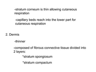 Comparative anatomy of Integumentary System | PPT