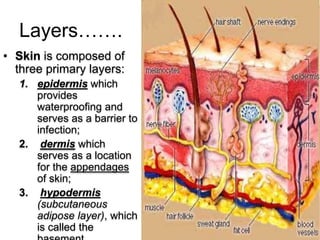 Comparative anatomy of Integumentary System | PPT