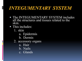 Integumentary system(Skin & its assessory organs) | PPT