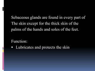 Integumentary system(Skin & its assessory organs) | PPT