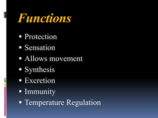 Integumentary system(Skin & its assessory organs) | PPT | Free Download