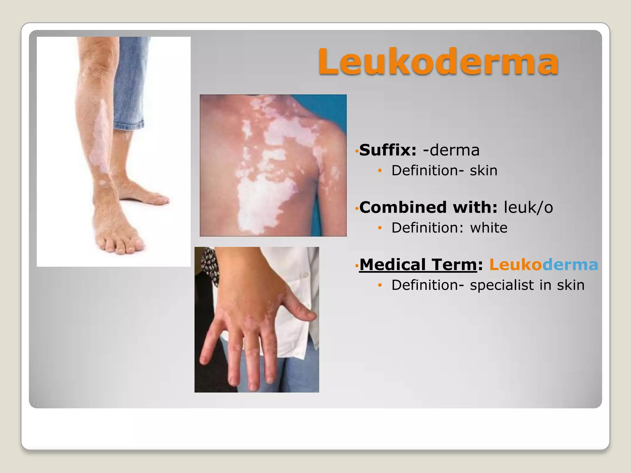 Integumentary system julia higgins | PPTX