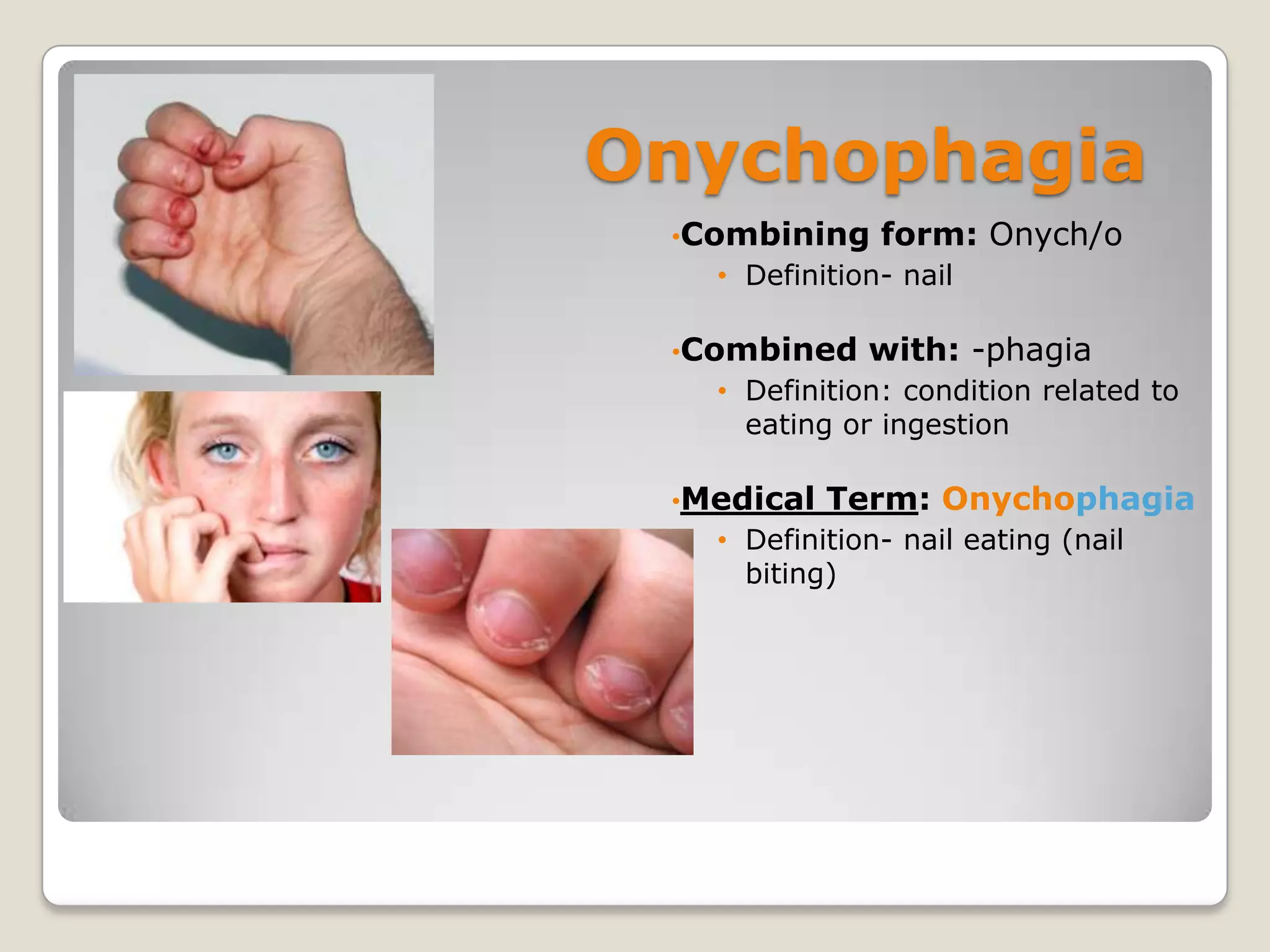 Integumentary system julia higgins | PPTX