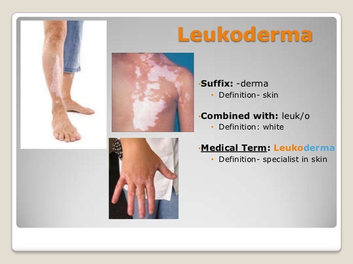 Integumentary system julia higgins