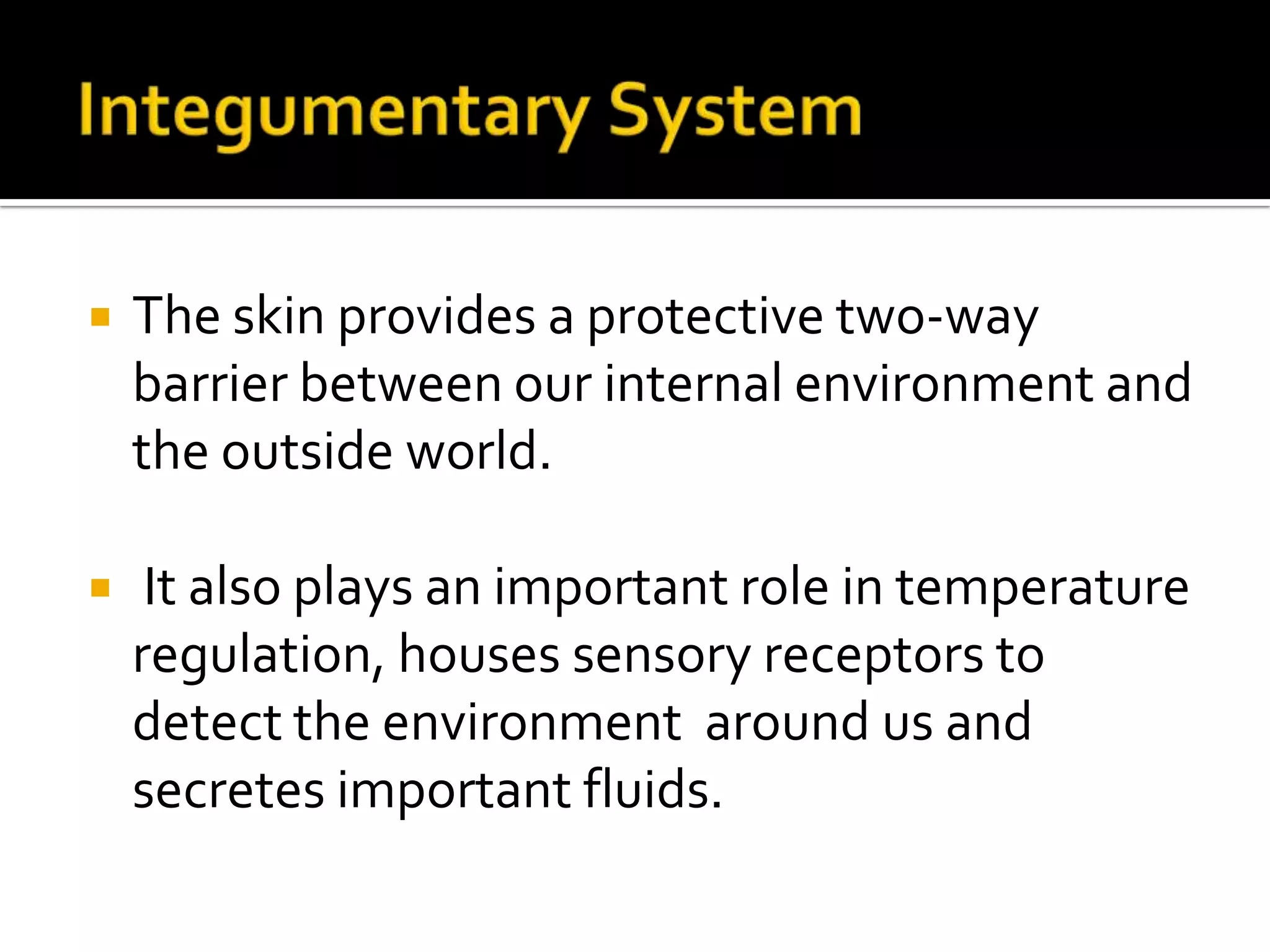 Integumentary system presen.03 | Skin and Dermatology | Diseases and ...