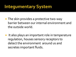 Integumentary system presen.03 | Skin and Dermatology | Diseases and ...