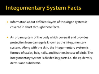Integumentary system presen.03 | Skin and Dermatology | Diseases and ...
