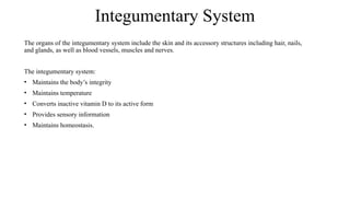 Integumentary System- Skin, and accessory organs- nails, hairs .pptx