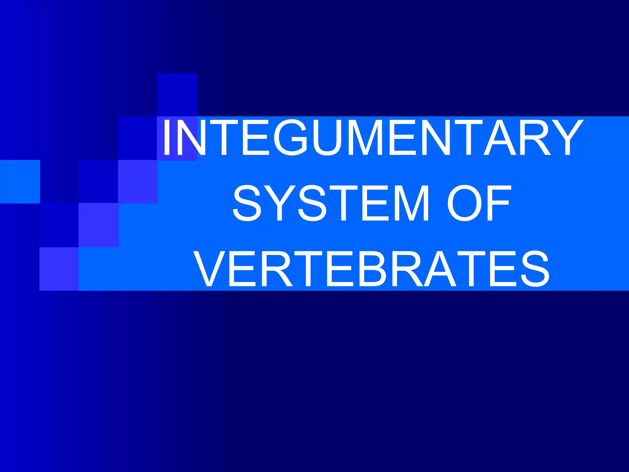 Integumentary system vertebrates | PPT