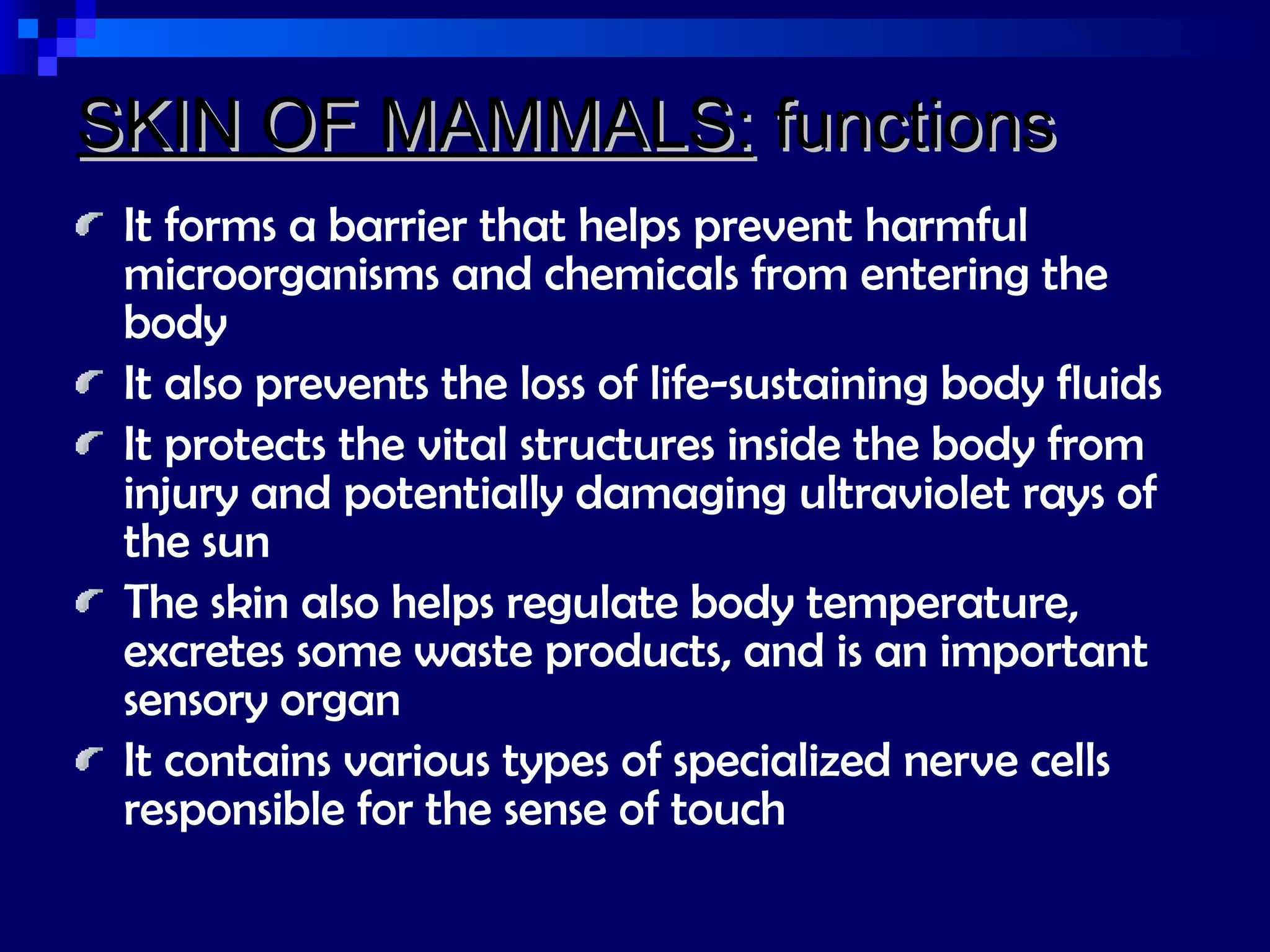 Integumentary system vertebrates | PPT