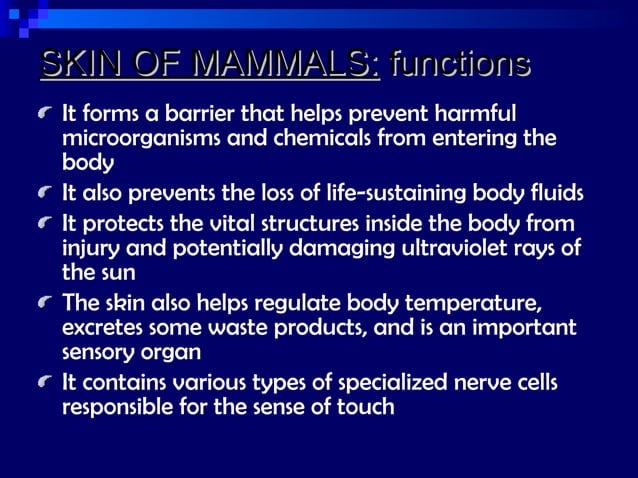 Integumentary system vertebrates | PPT | Birds | Pets