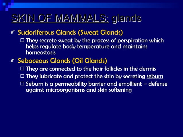 Integumentary system vertebrates | PPT | Birds | Pets