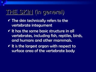 Integumentary system vertebrates | PPT