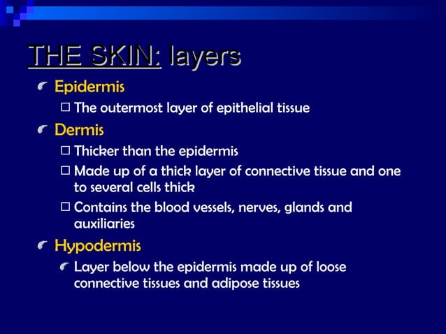 Integumentary system vertebrates | PPT | Birds | Pets
