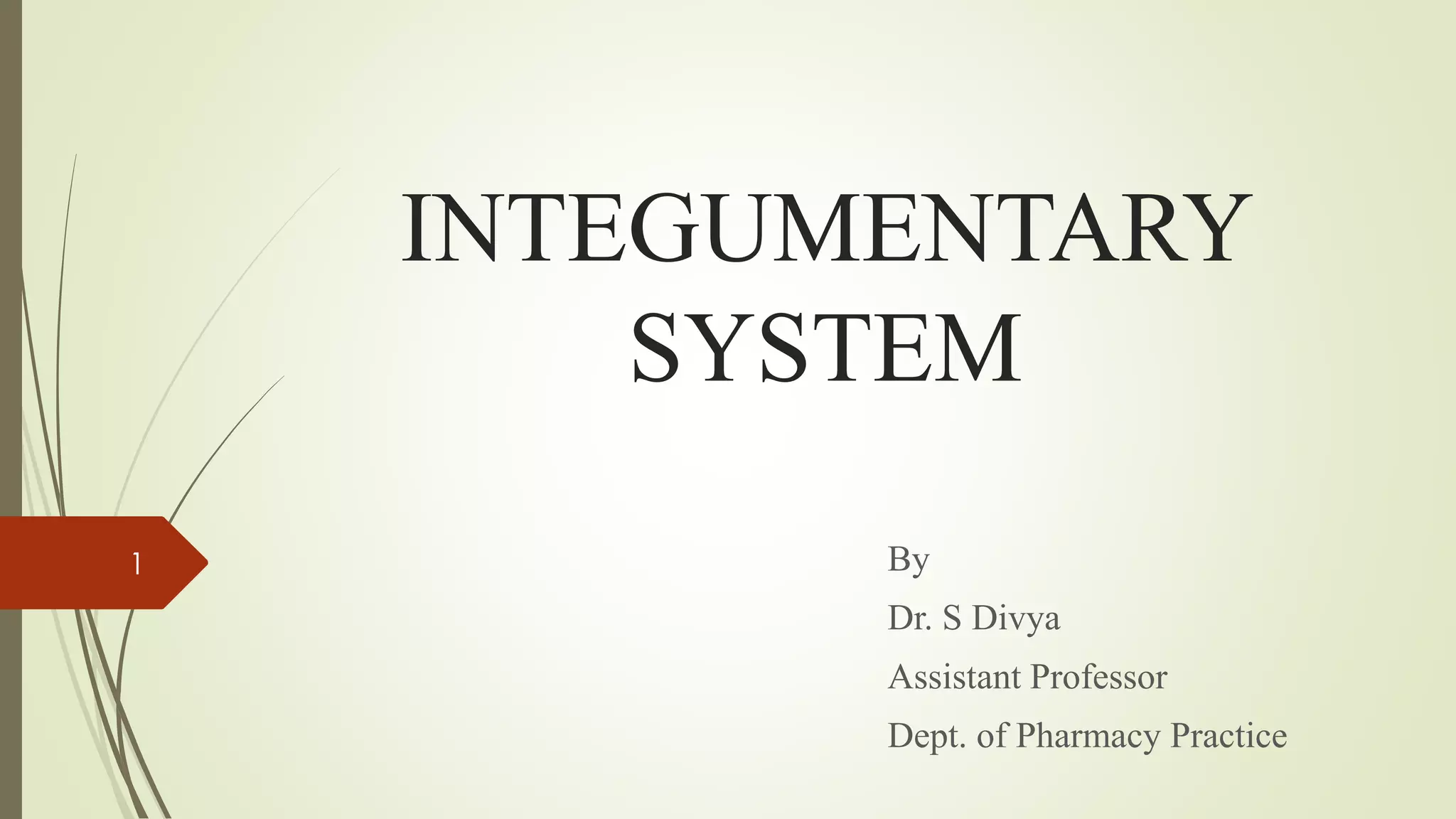 INTEGUMENTARY SYSTEM (1).pdf