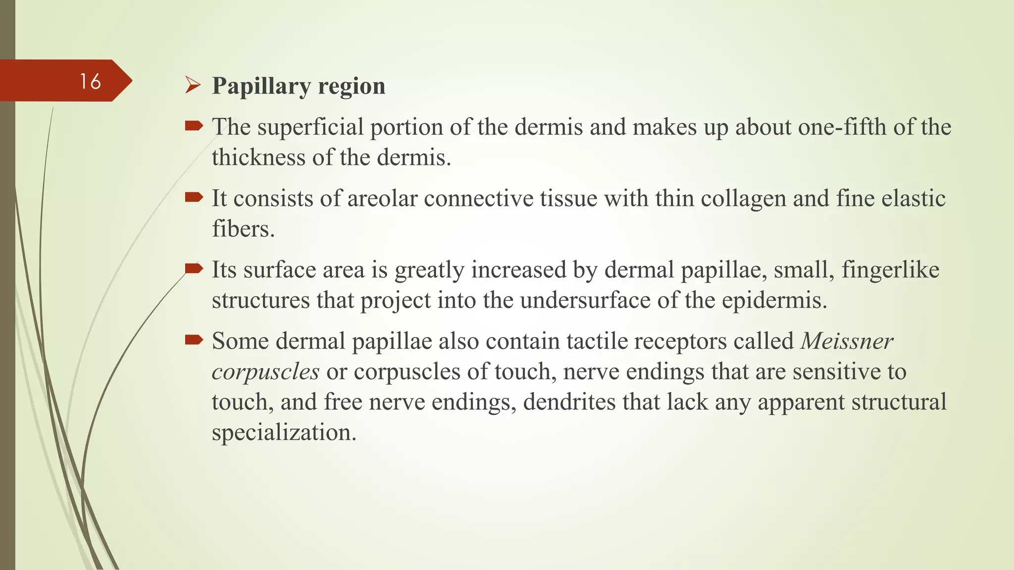 INTEGUMENTARY SYSTEM (1).pdf