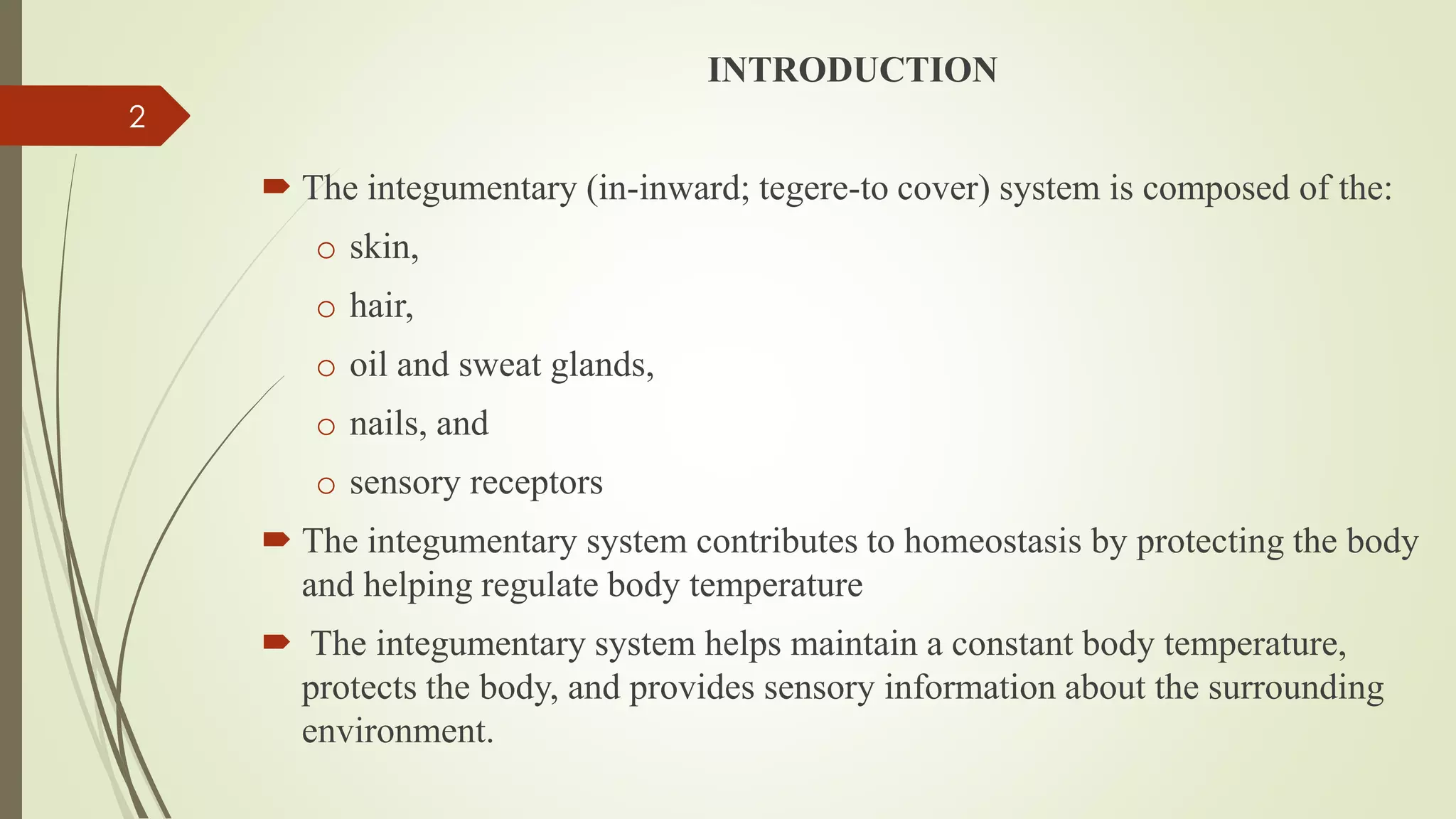 INTEGUMENTARY SYSTEM (1).pdf