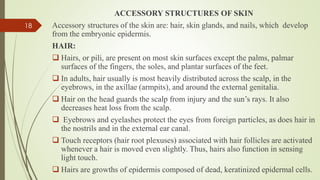 INTEGUMENTARY SYSTEM (1).pdf