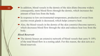 INTEGUMENTARY SYSTEM (1).pdf