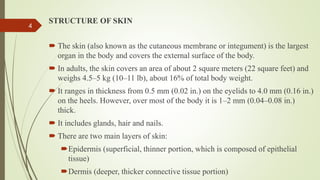 INTEGUMENTARY SYSTEM (1).pdf