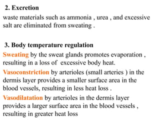Anatomy part II: Integumentary System.pptx