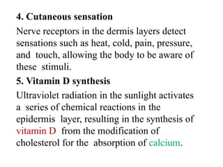 Anatomy part II: Integumentary System.pptx