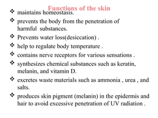 Anatomy part II: Integumentary System.pptx