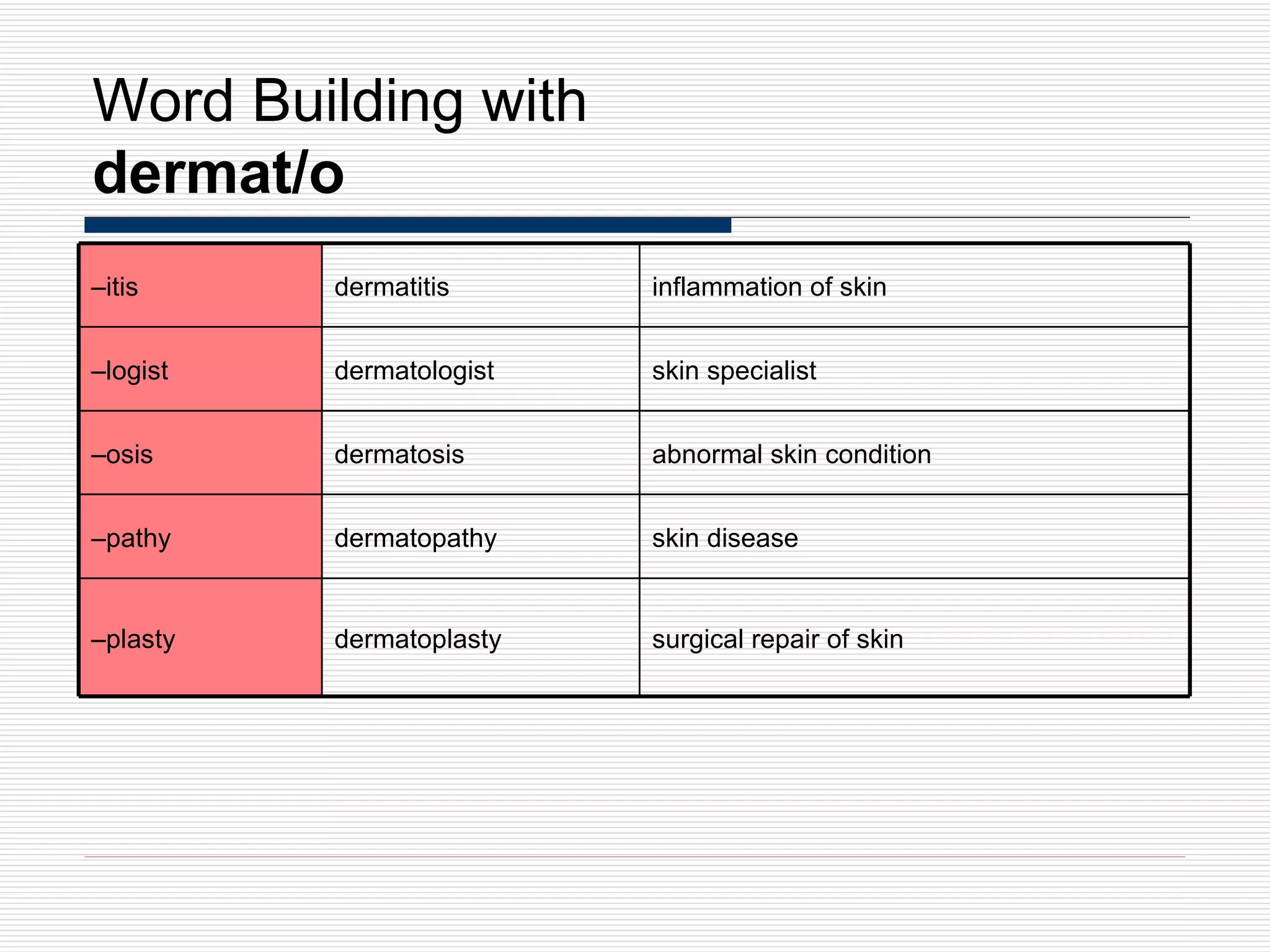 Integumentary System | PPT