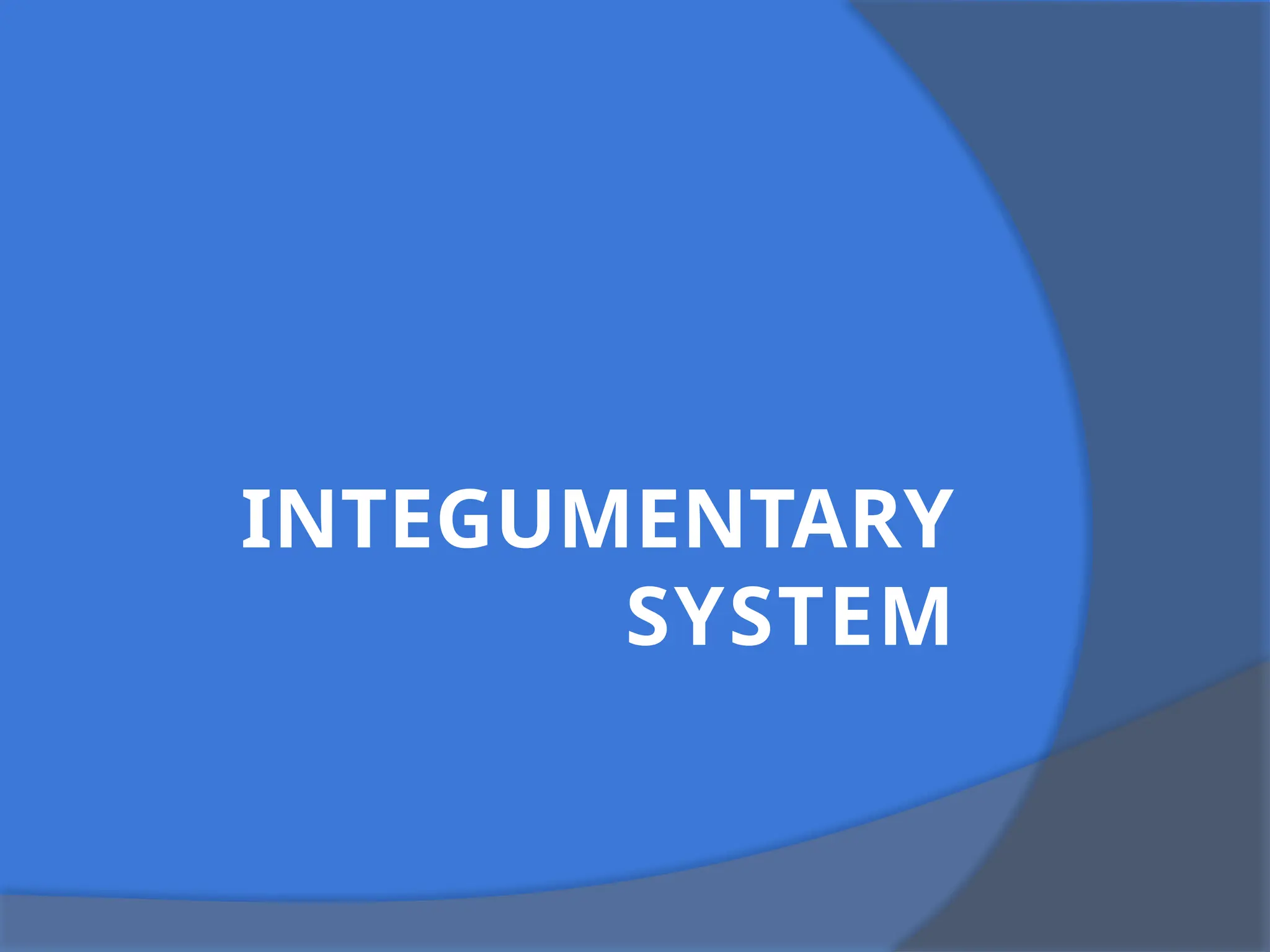 Integumentary System Overview Anatomy & Physiology | PPT