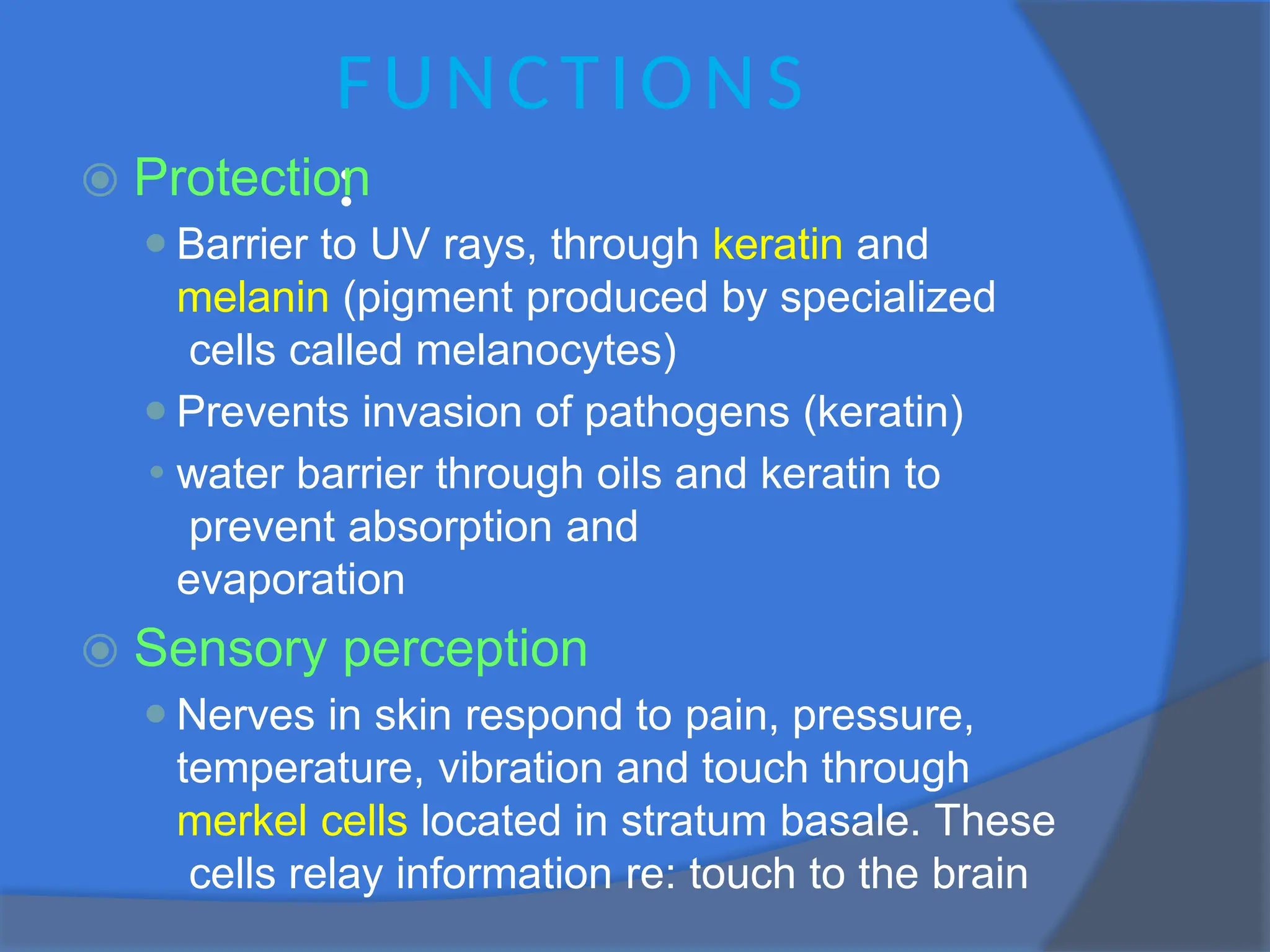 Integumentary System Overview Anatomy & Physiology | PPT