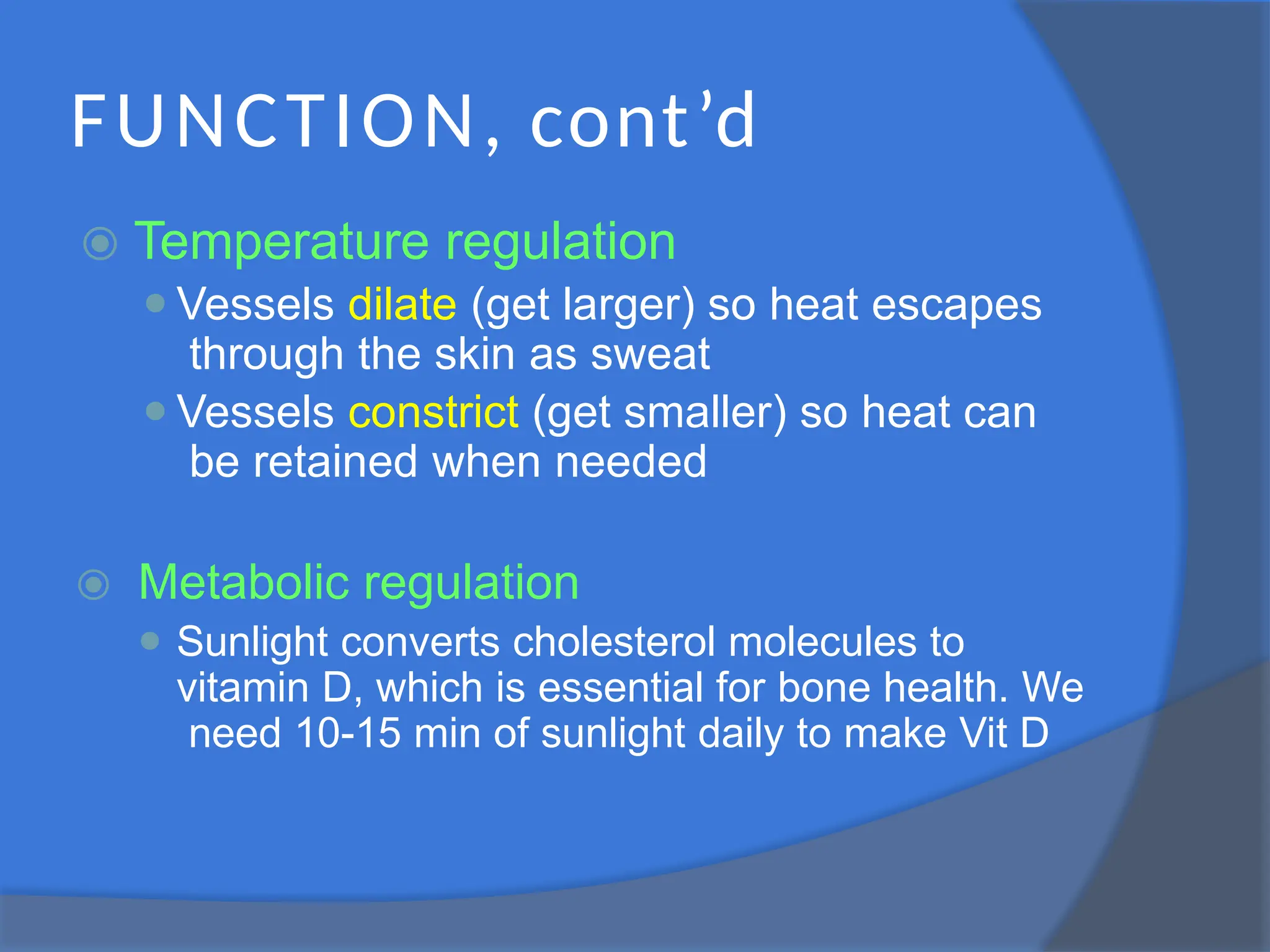 Integumentary System Overview Anatomy & Physiology | PPT