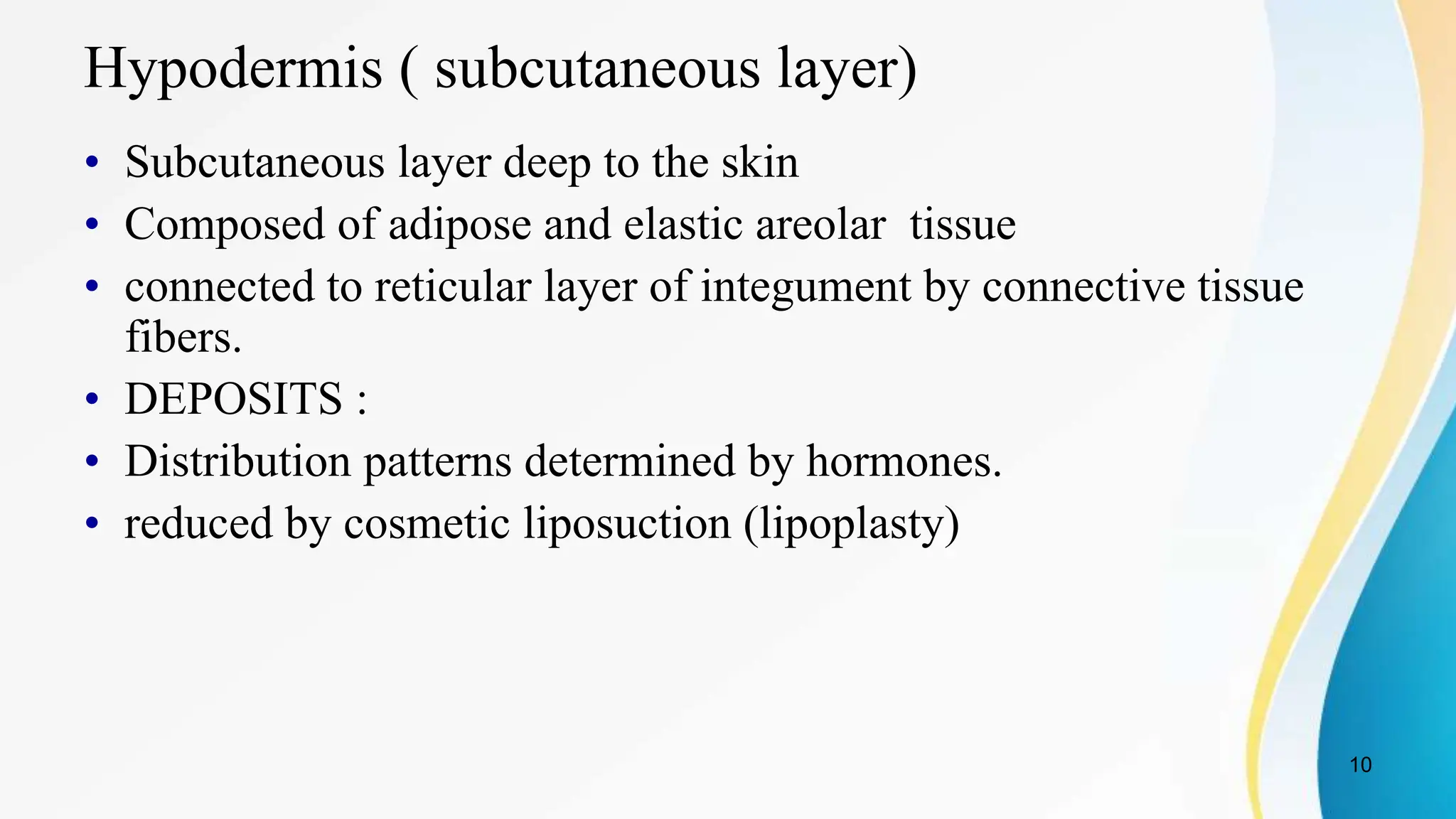 Integumentary System (3).pptx