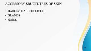 Integumentary System (3).pptx