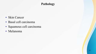 Integumentary System (3).pptx