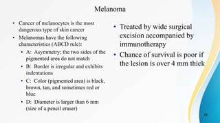 Integumentary System (3).pptx