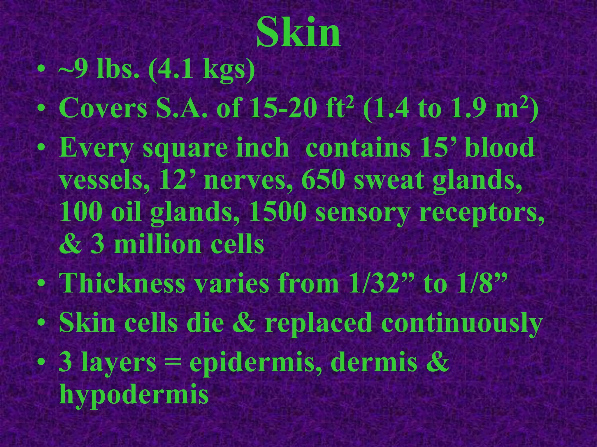 IntegumentarySystemAnat-Physio.ppt