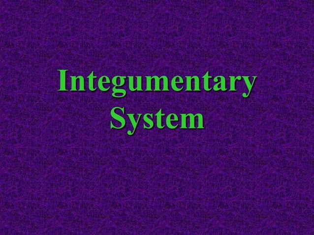 IntegumentarySystemAnat-Physio.ppt
