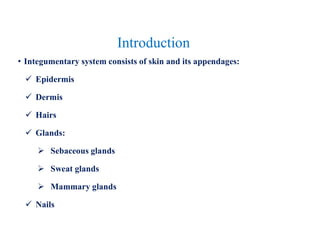 INTEGUMENTARY SYSTEM DEVELOPMENT.pdf