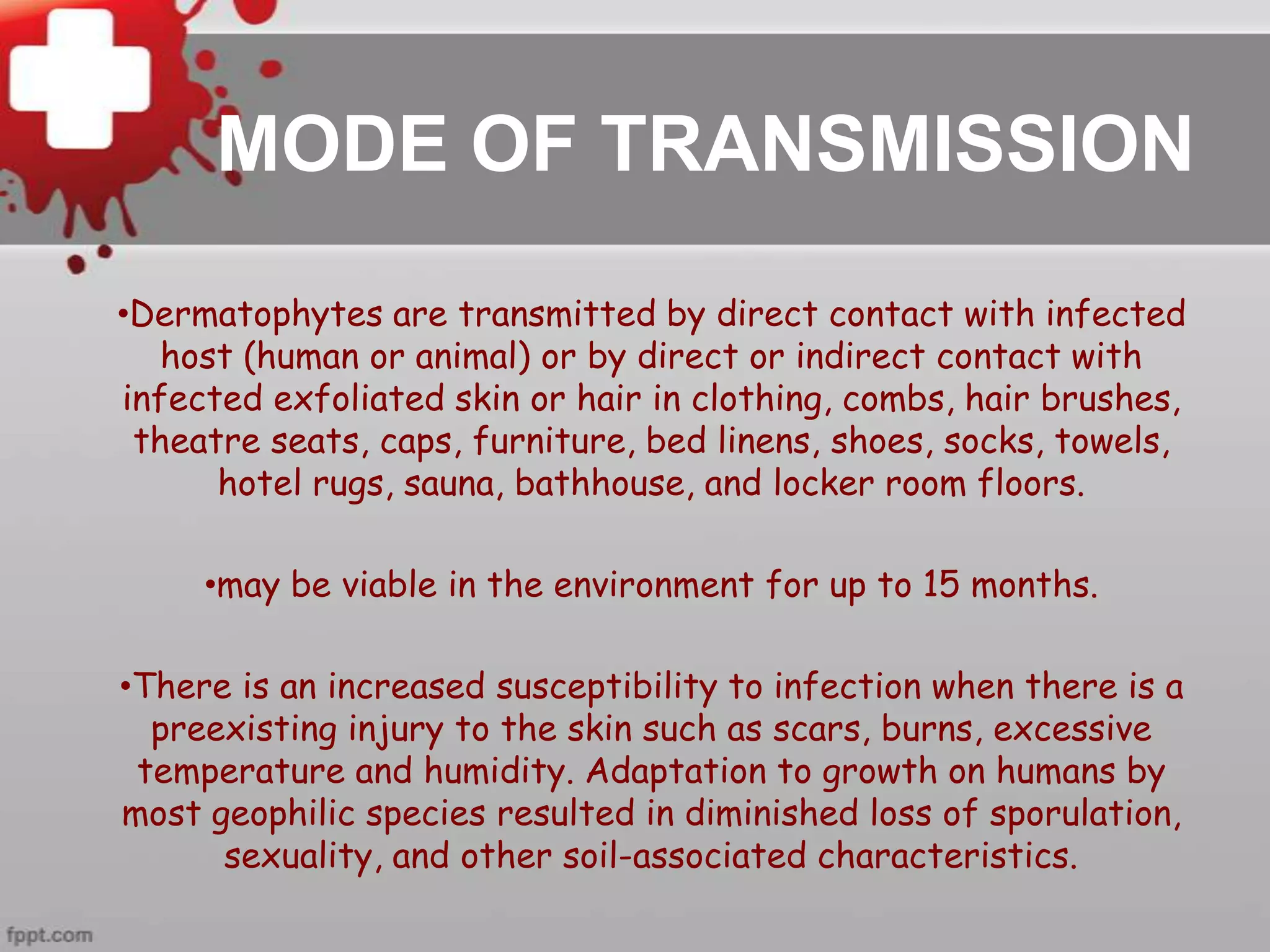 Integumentary system diseases | PPTX