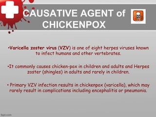 Integumentary system diseases | PPTX