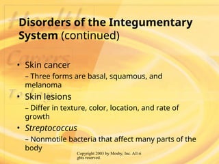 Nursing Integumentary System & Disorders.ppt