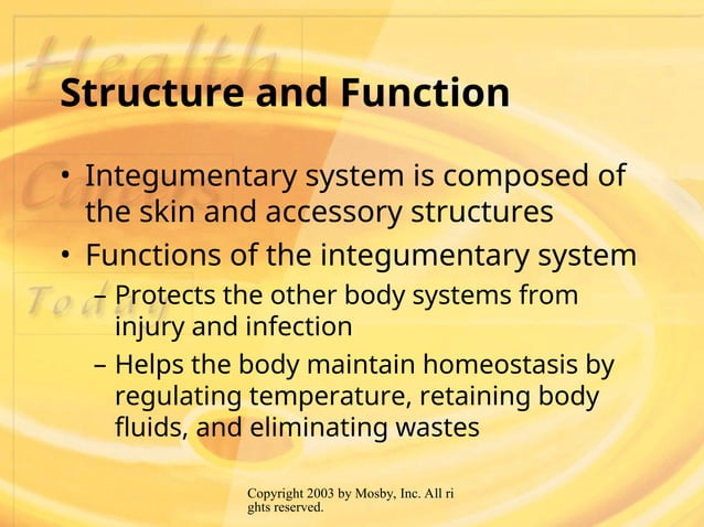 Nursing Integumentary System & Disorders.ppt