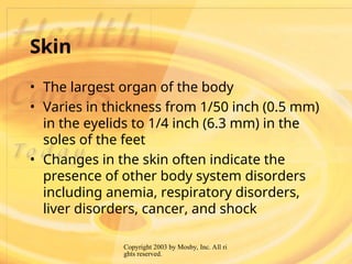 Nursing Integumentary System & Disorders.ppt