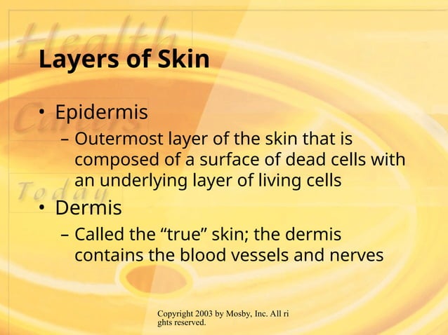 Nursing Integumentary System & Disorders.ppt