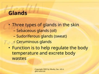 Nursing Integumentary System & Disorders.ppt